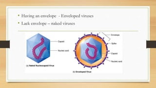 Classification of virus, symmetry | PPTX