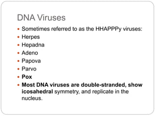 Classification of virus | PPTX