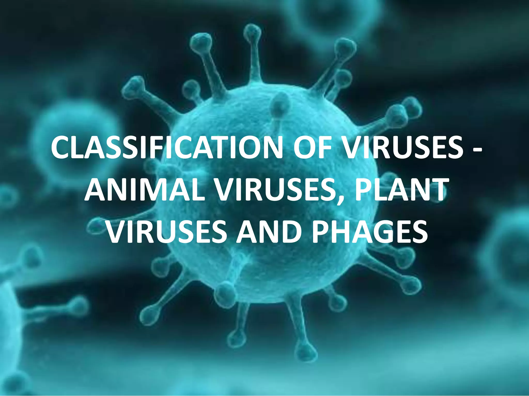 Classification of virus | PPTX
