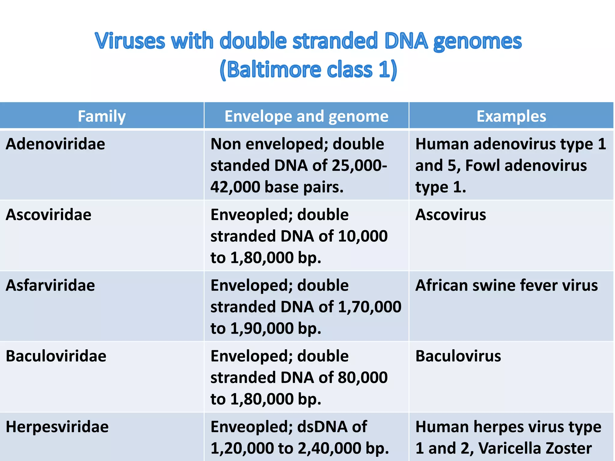Classification of virus | PPTX