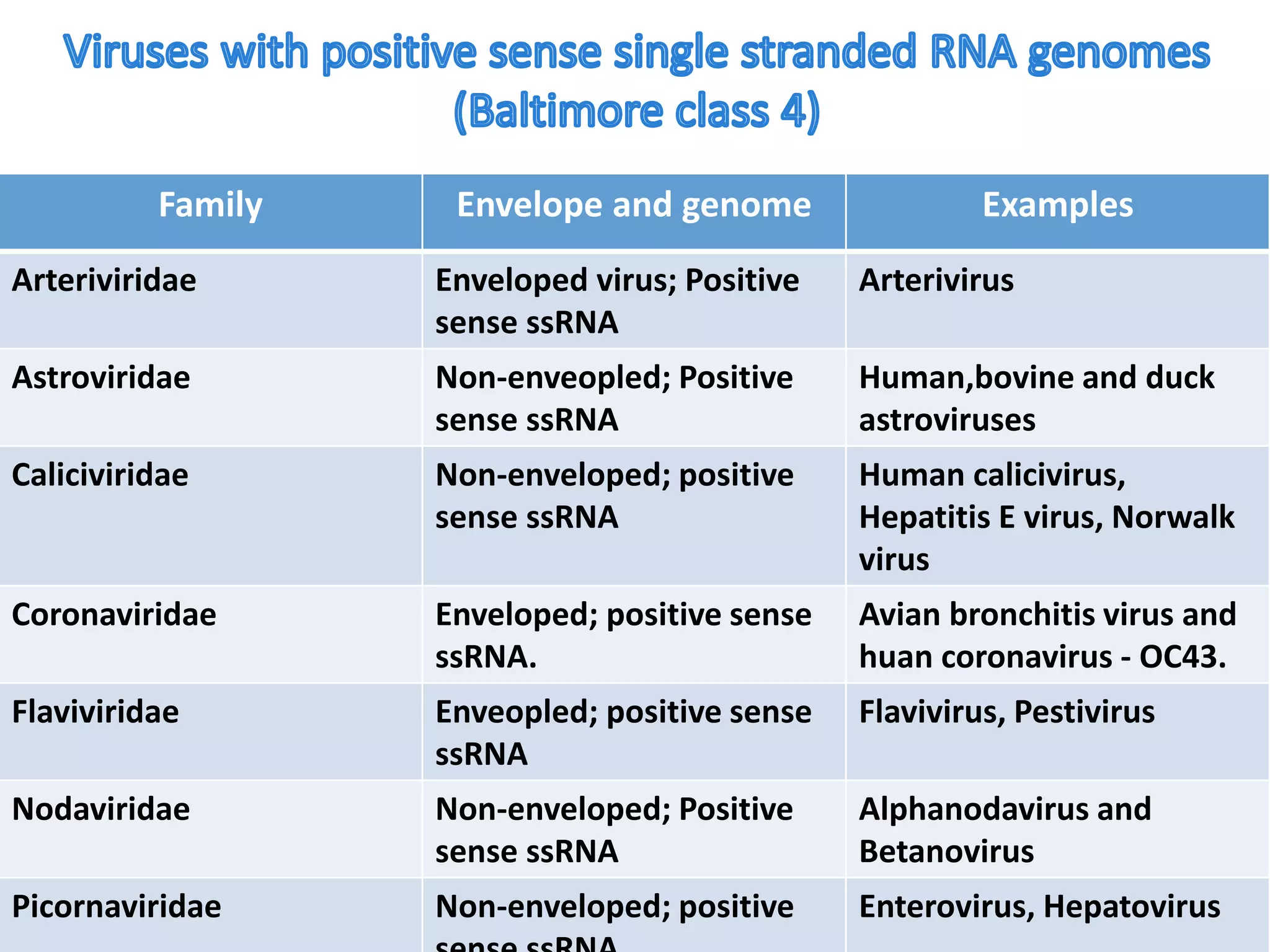 Classification of virus | PPTX