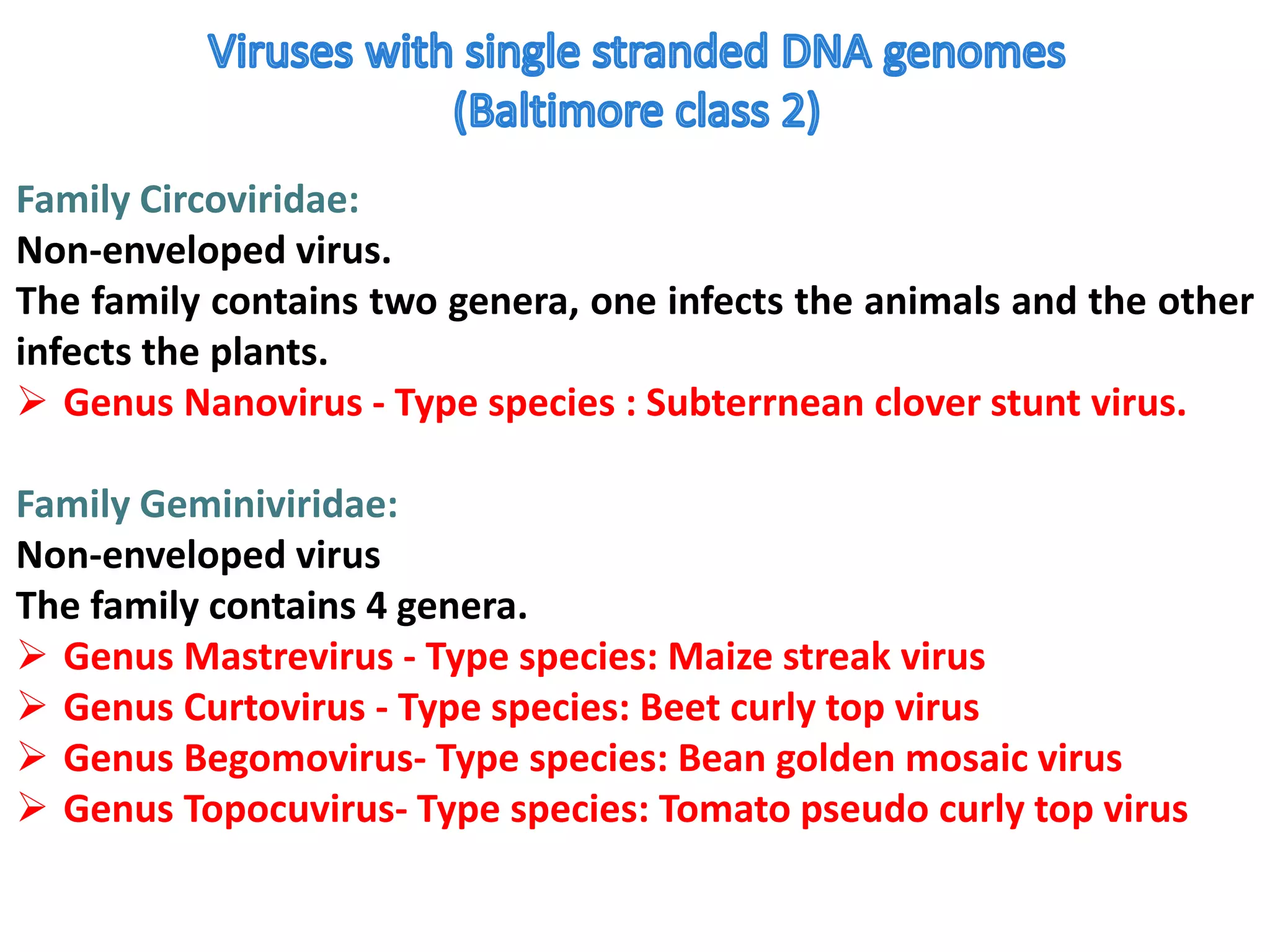 Classification of virus | PPTX