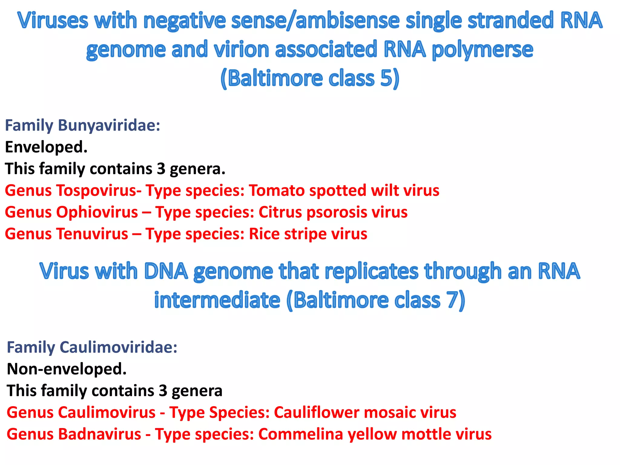 Classification of virus | PPTX