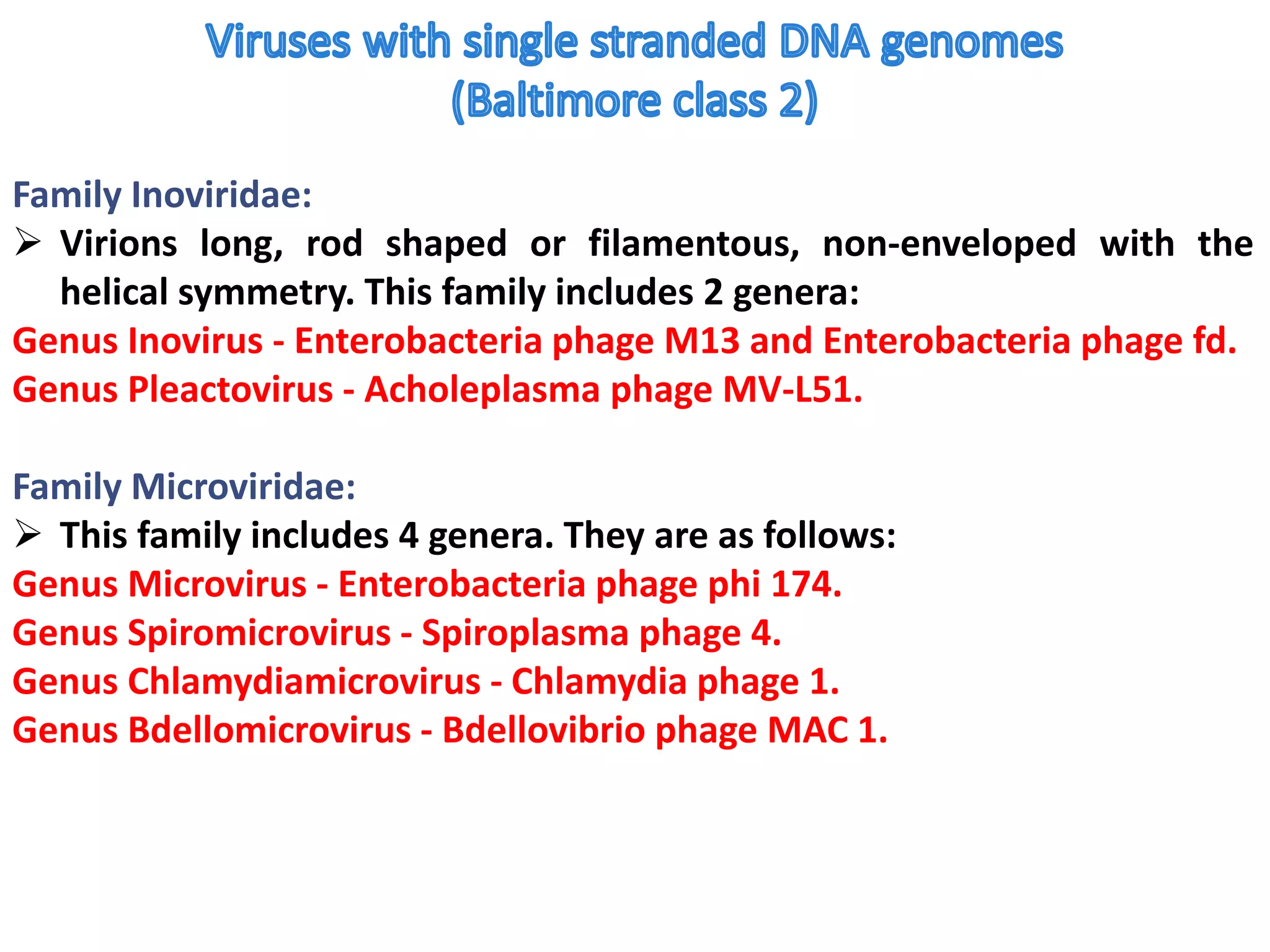 Classification of virus | PPTX