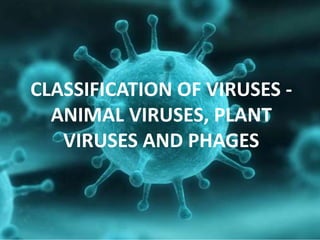 Classification of virus | PPTX