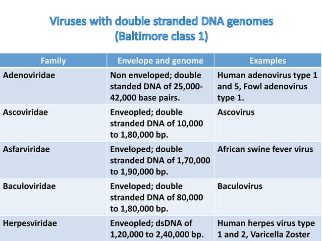 Classification of virus | PPTX