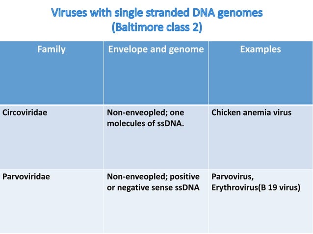 Classification of virus | PPTX