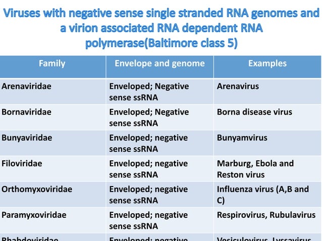 Classification of virus | PPTX