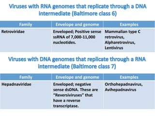 Classification of virus | PPTX