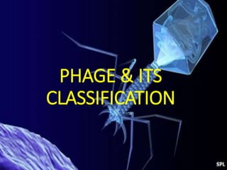 Classification of virus | PPTX