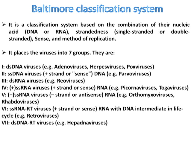 Classification of virus | PPTX