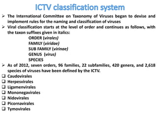 Classification of virus | PPTX