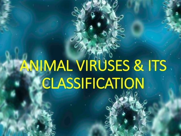 Classification of virus | PPTX