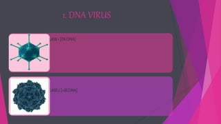 CLASSIFICATION OF VIRUS.pptx