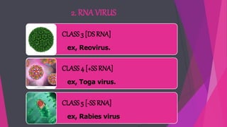 CLASSIFICATION OF VIRUS.pptx