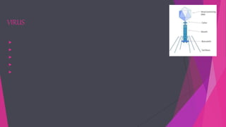 CLASSIFICATION OF VIRUS.pptx