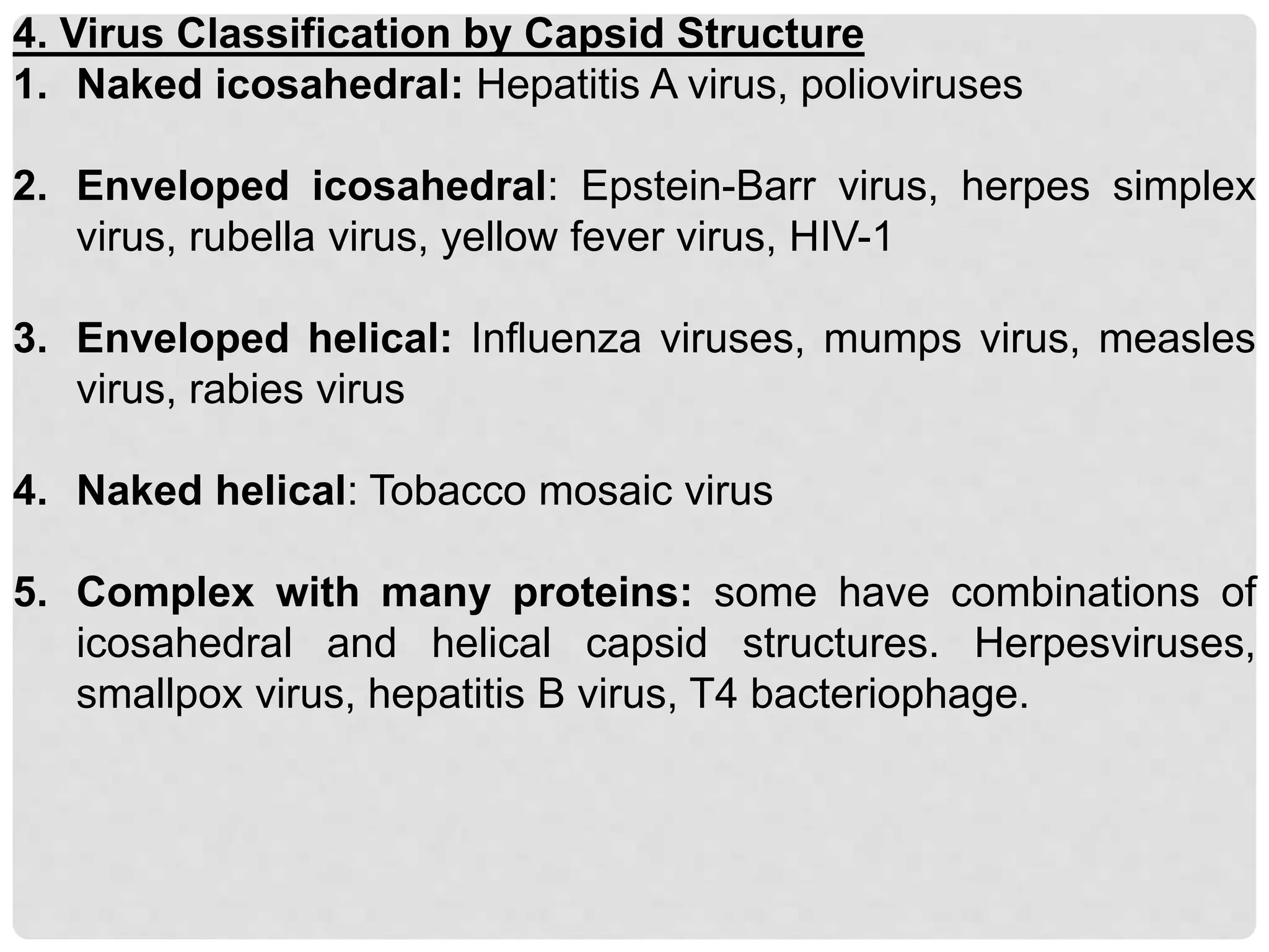 Classification of viruses | PPTX