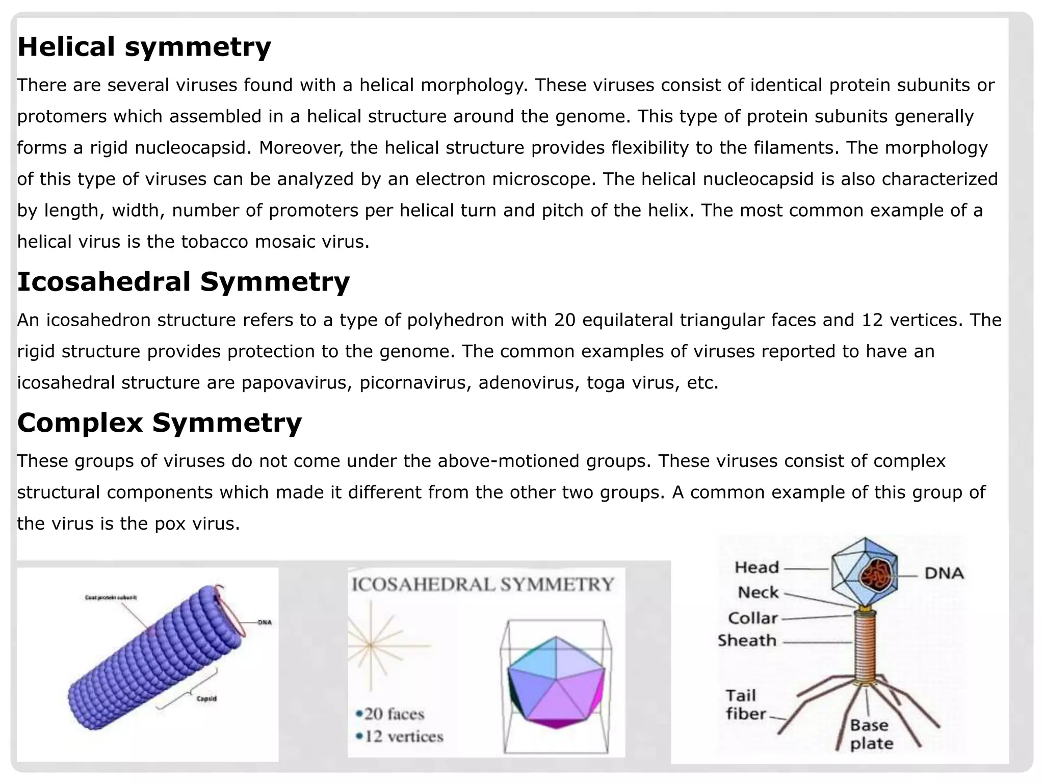 Classification of viruses | PPTX