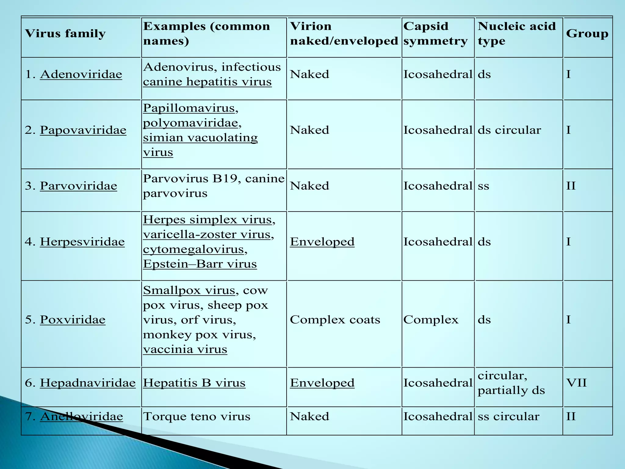 Classification of viruses.pptx