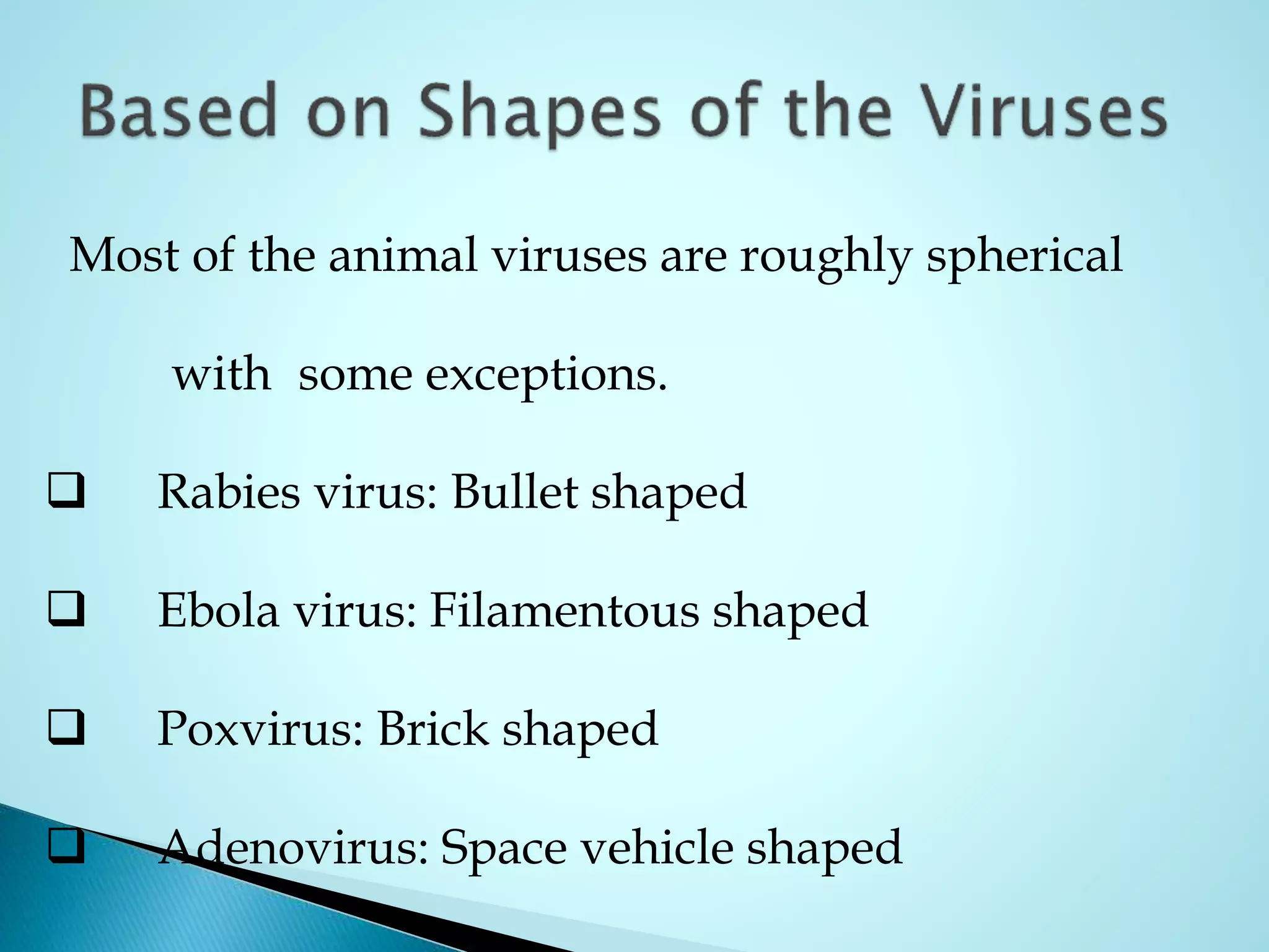 Classification of viruses.pptx