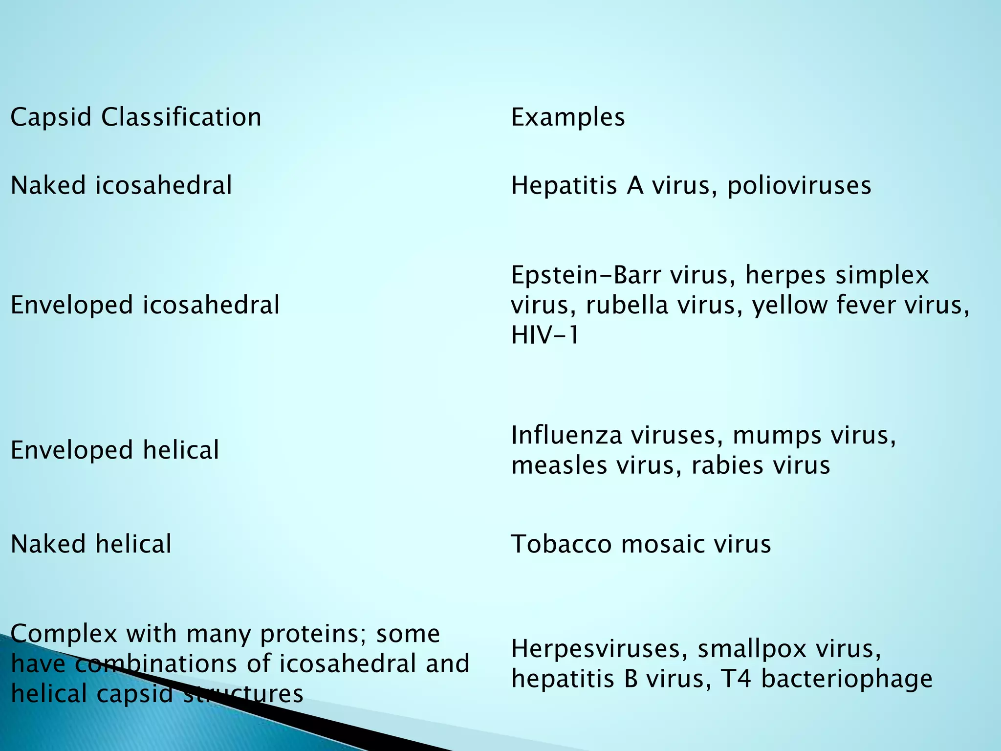 Classification of viruses.pptx