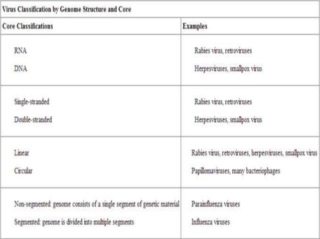Classification of viruses.pptx