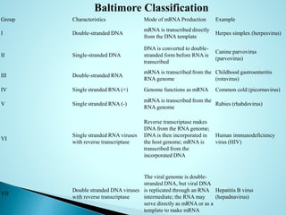Classification of viruses.pptx