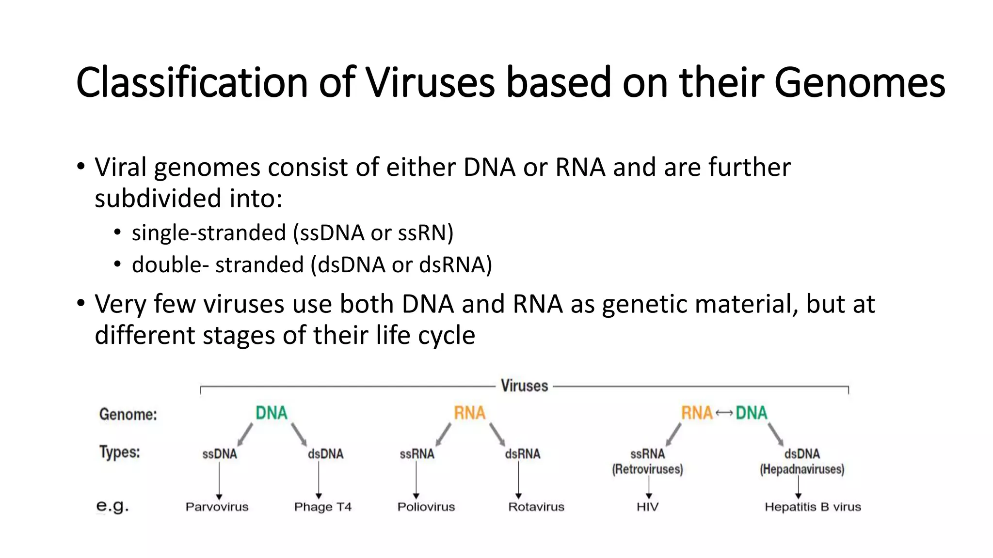 Classification of viruses.pptx