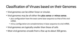 Classification of viruses.pptx