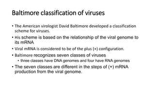 Classification of viruses.pptx