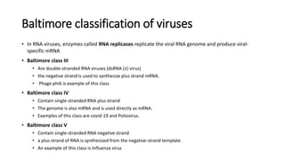 Classification of viruses.pptx
