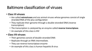 Classification of viruses.pptx