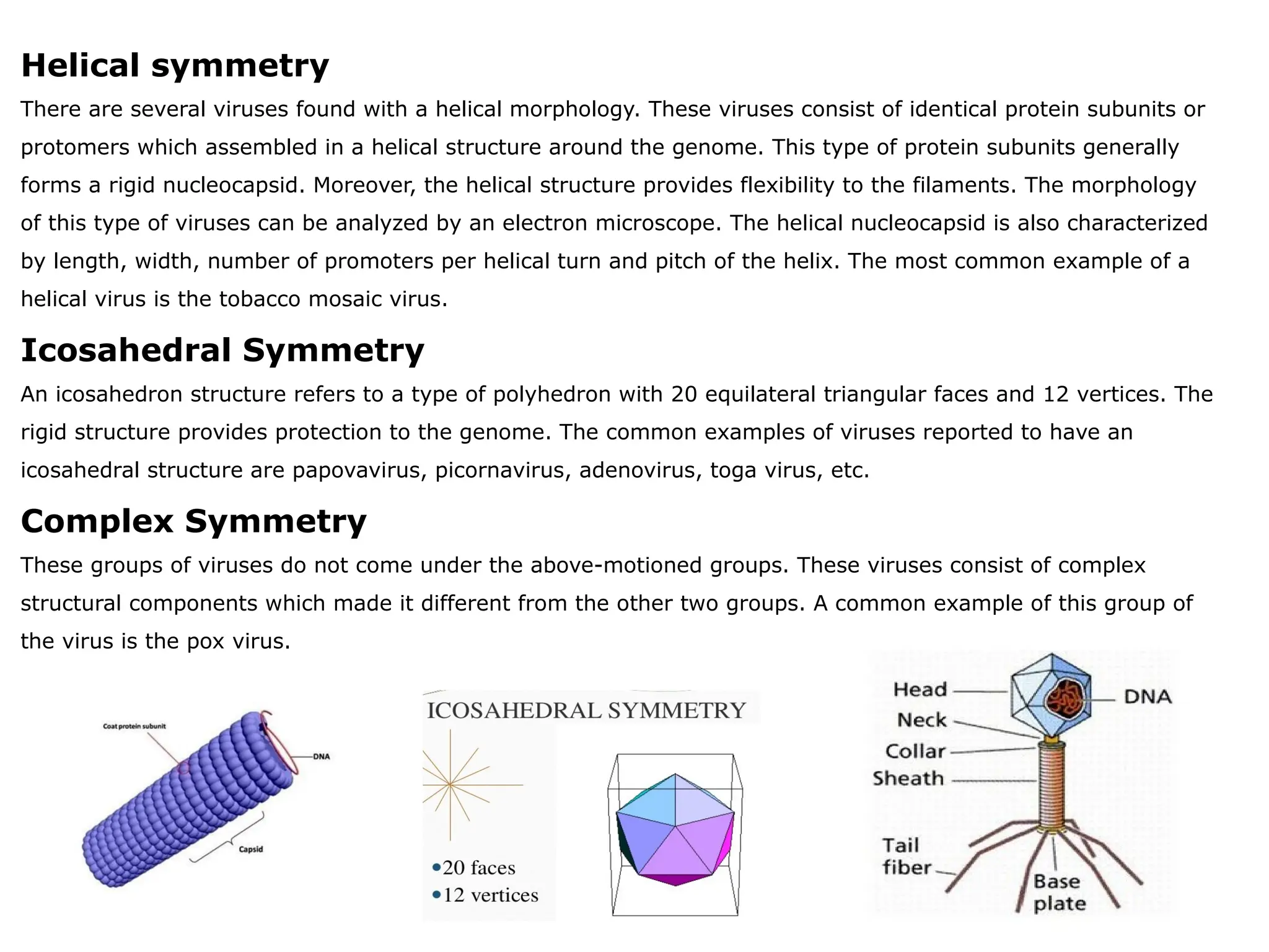 microbiology,classification ofviruses.pptx