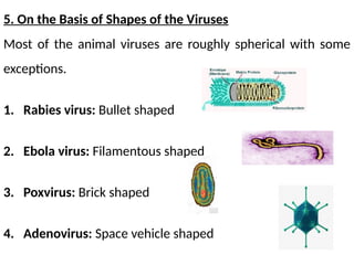 microbiology,classification ofviruses.pptx