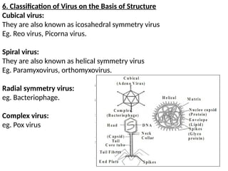 microbiology,classification ofviruses.pptx
