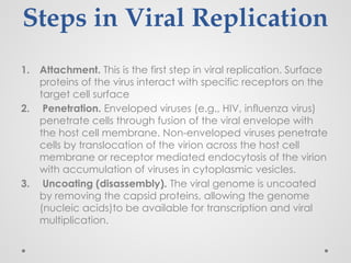 Classification of viruses D.pptx ......... | PPTX