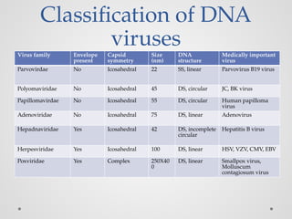 Classification of viruses D.pptx ......... | PPTX