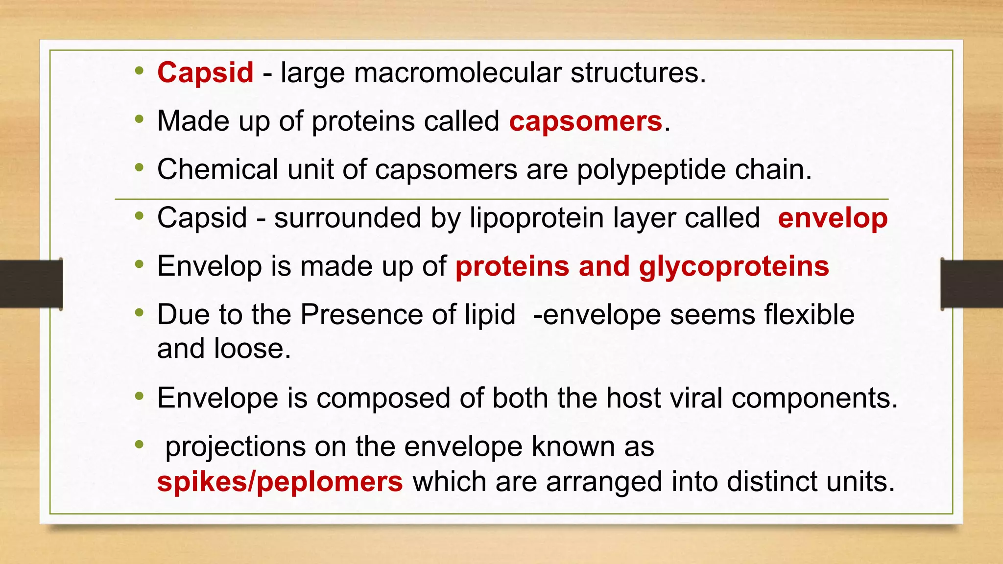 classification of virus .pptx