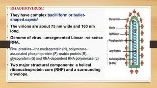 classification of virus .pptx