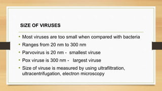 classification of virus .pptx