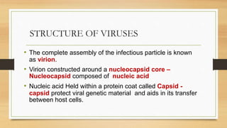 classification of virus .pptx