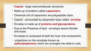 classification of virus .pptx