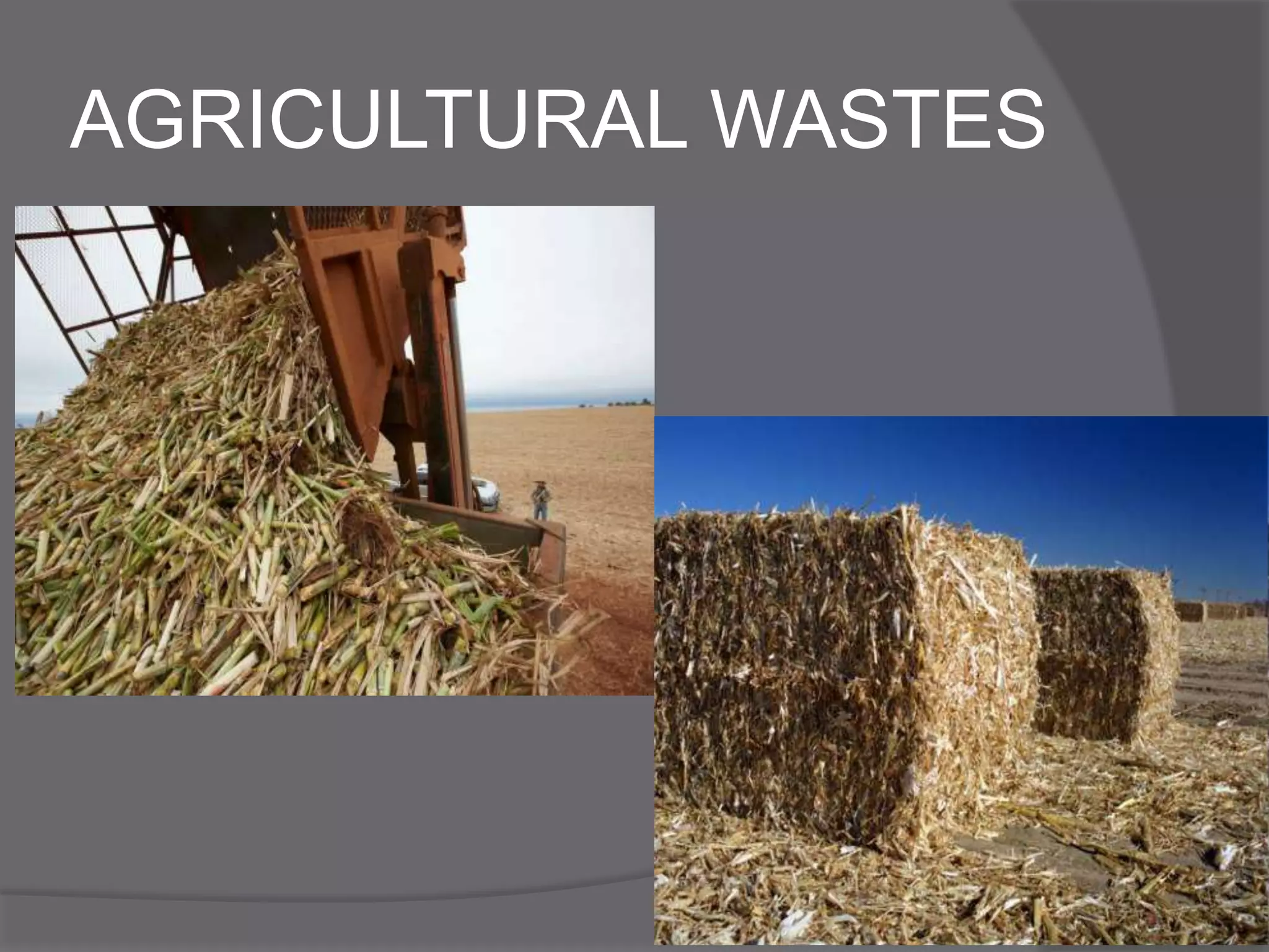 Classification of waste and storage methods | PPTX