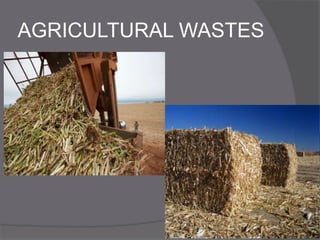 Classification of waste and storage methods | PPTX | Indoor ...