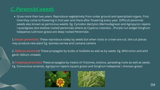 CLASSIFICATION OF WEED | PDF