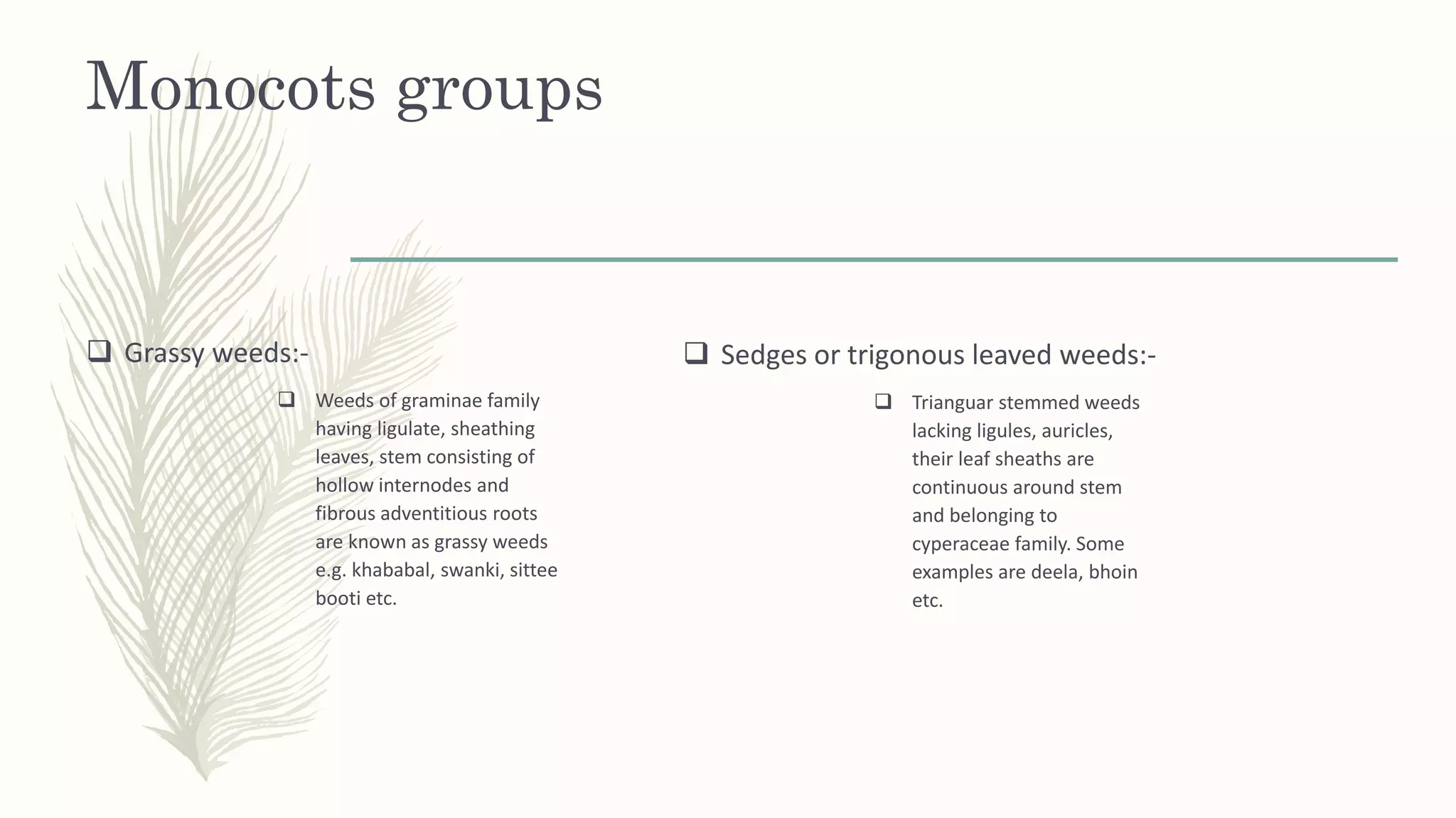 Classification of weeds | PPTX