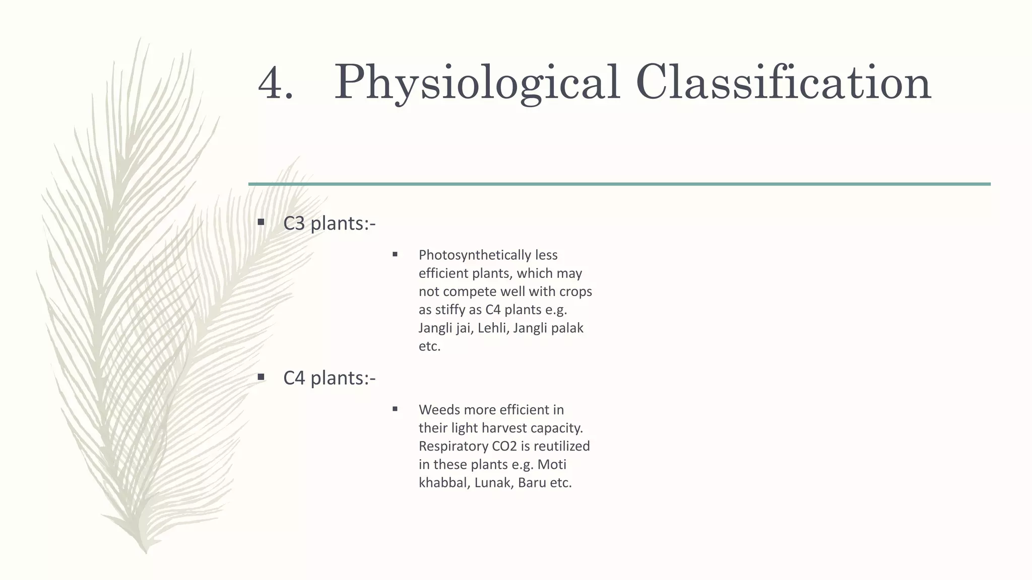 Classification of weeds | PPTX | Gardening | Home & Garden