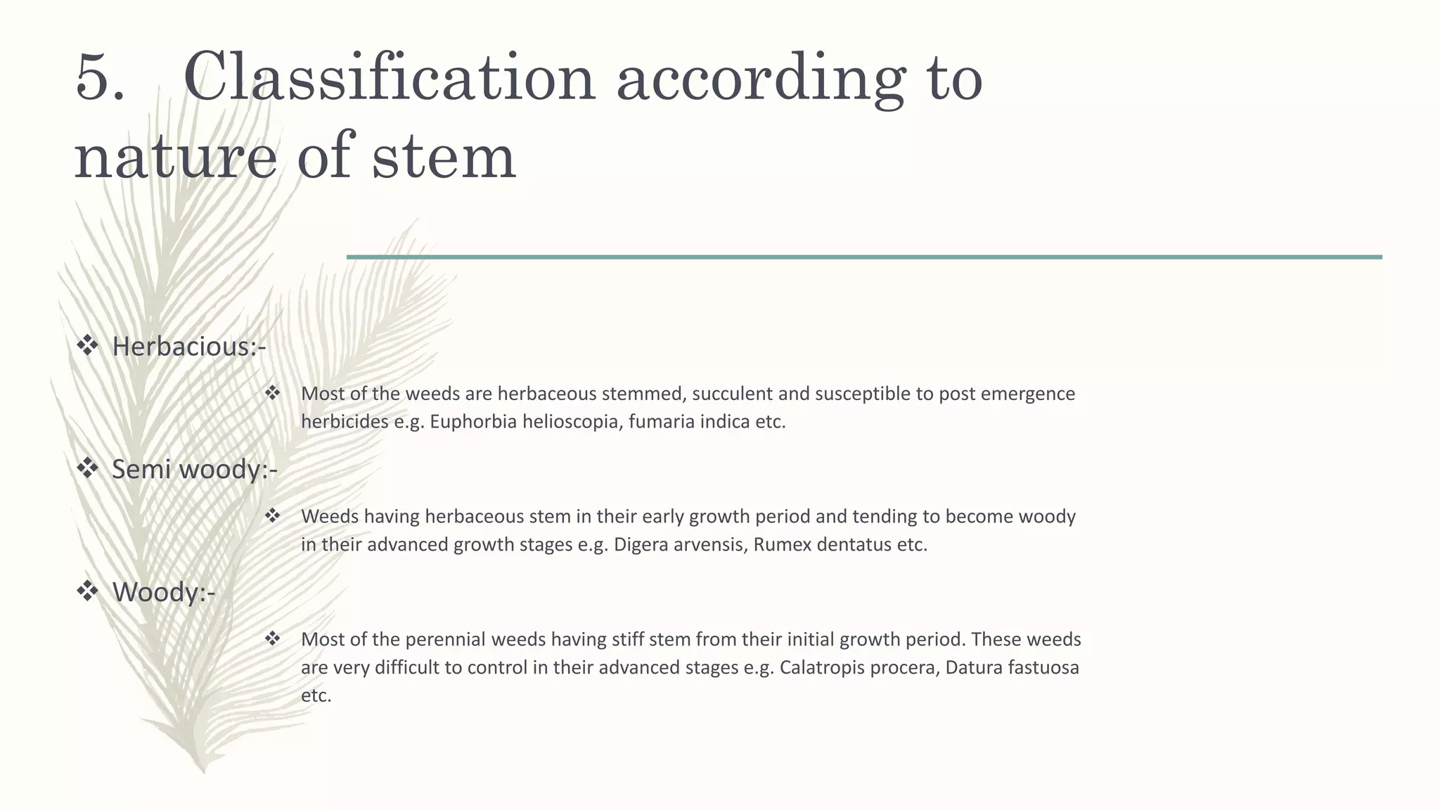 Classification of weeds | PPTX | Gardening | Home & Garden