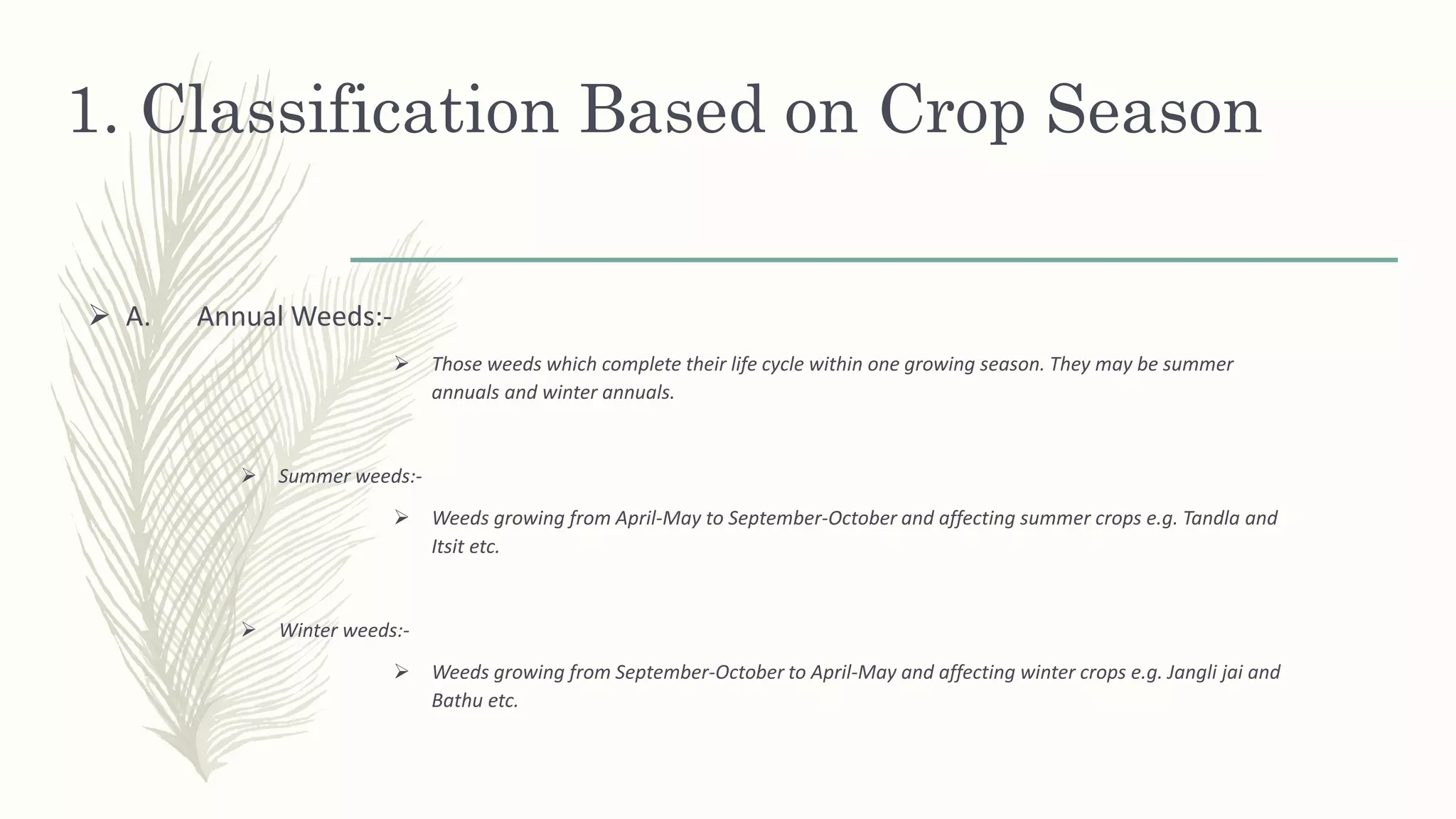 Classification of weeds | PPTX