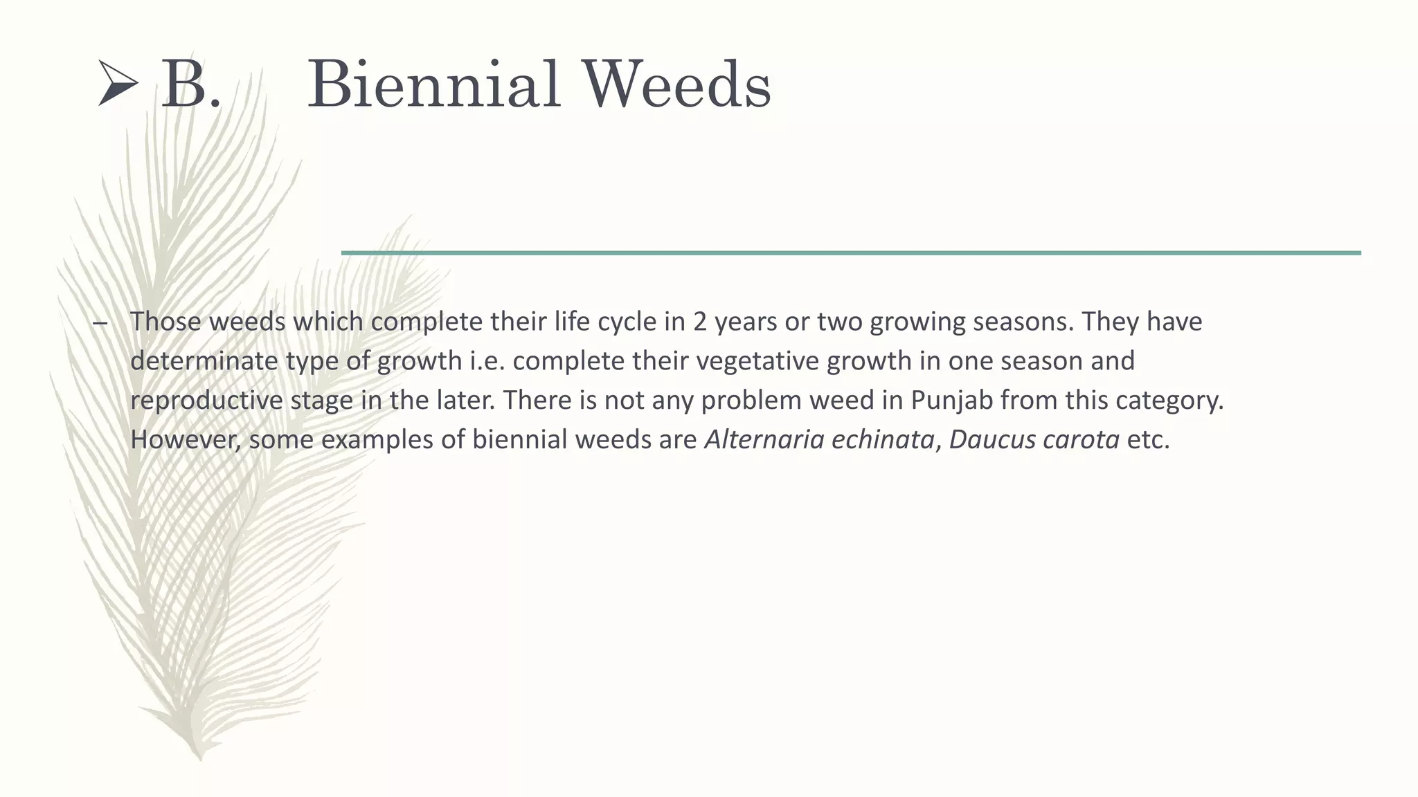 Classification of weeds | PPTX